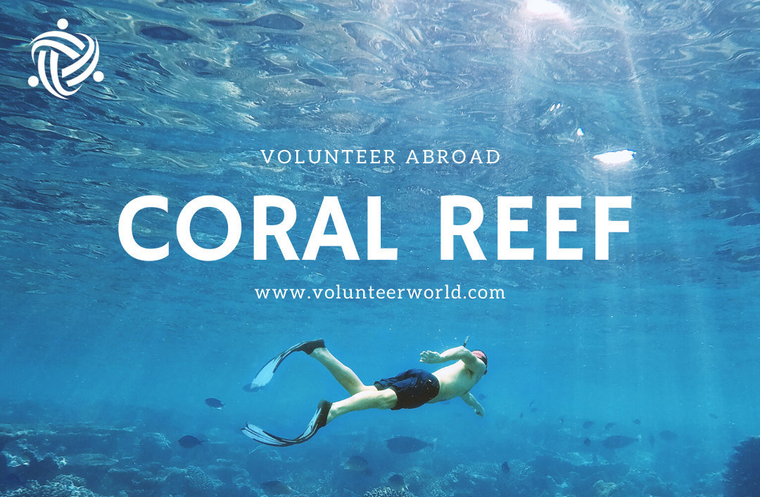 Coral Reef Conservation 🐠 | Restoration Projects 2021 | Volunteer World